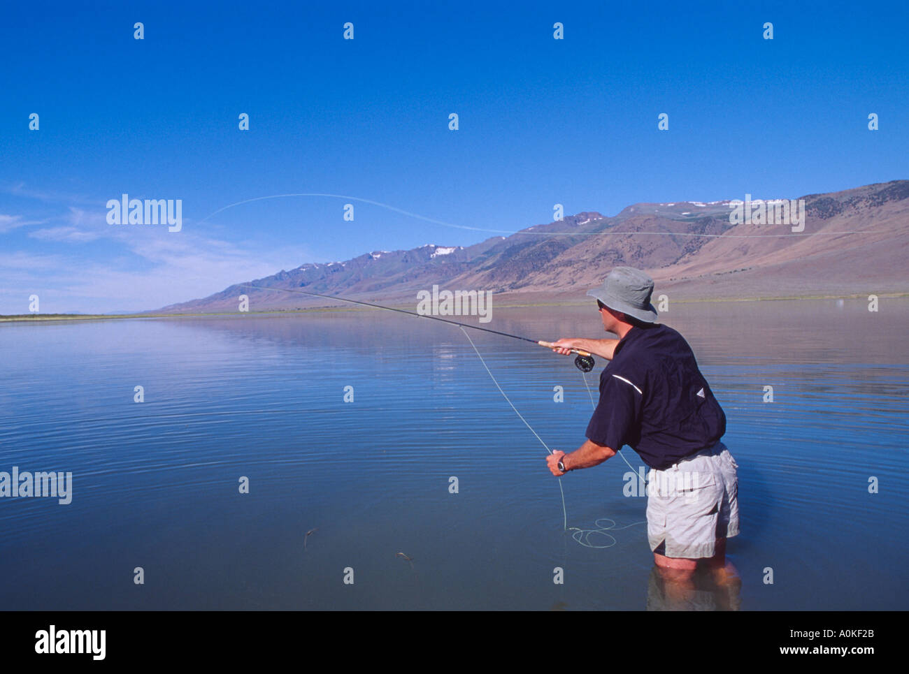 Fisher creek basin hi-res stock photography and images - Alamy