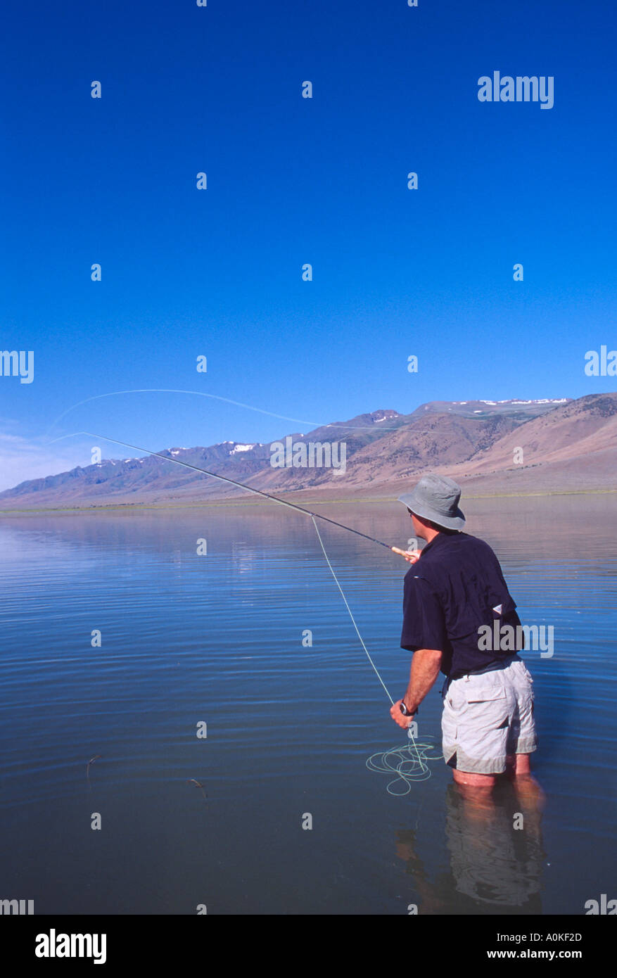 man casting fly while wading in lake Mann Lake Steens Mountain in ...