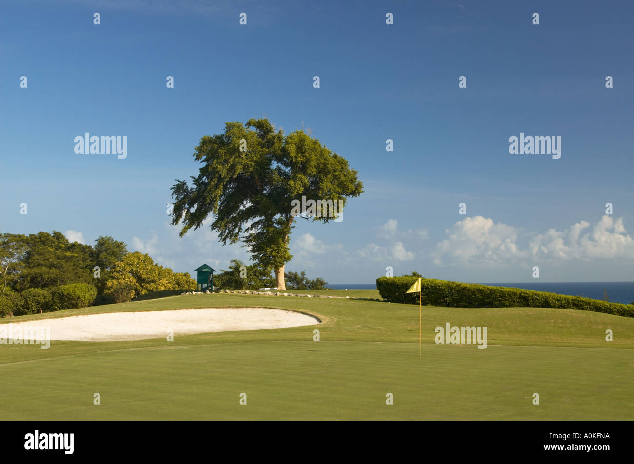 Golf course, Tryall Club, Golf Resort, Jamaica Stock Photo - Alamy