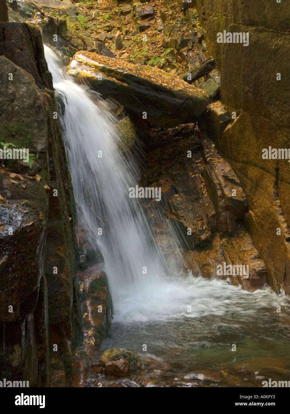 The Flume, Franconia Notch in the White Mountains of New Hampshire ...