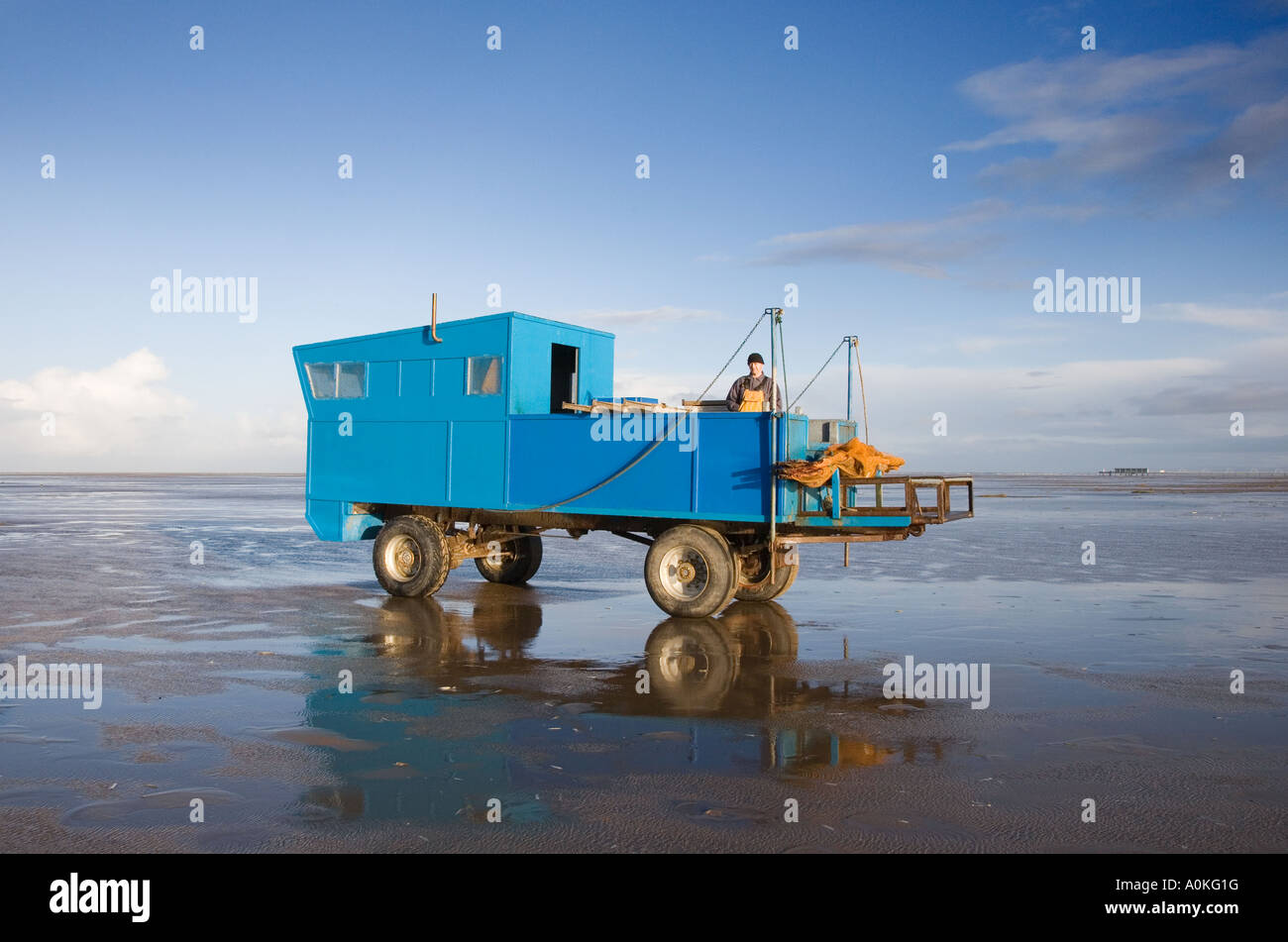 Commercial Seafood Shellfish Shrimp Fishing with modified tractor ...