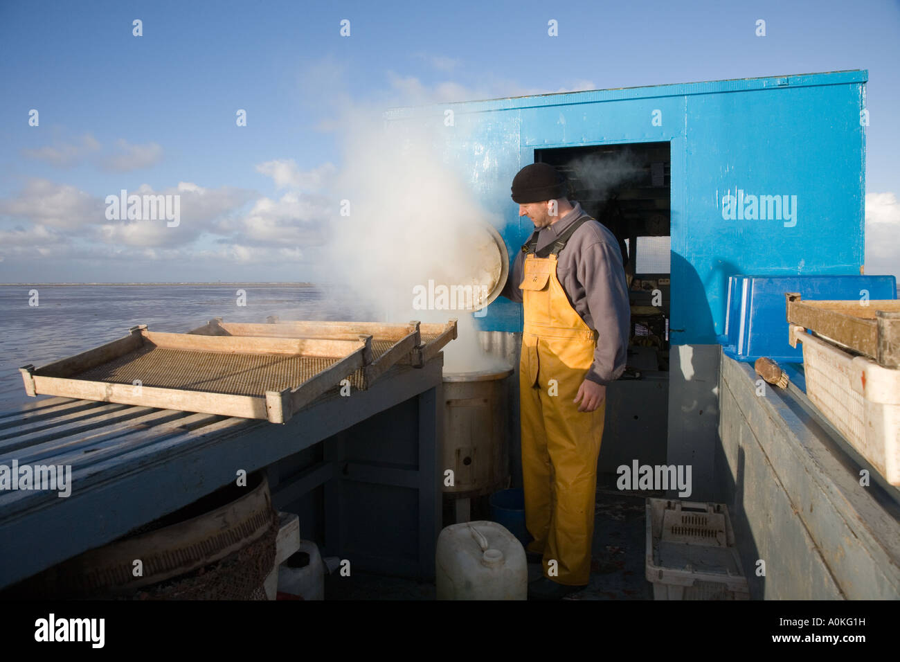 Commercial Seafood Shellfish Shrimp Fishing with modified tractor ...