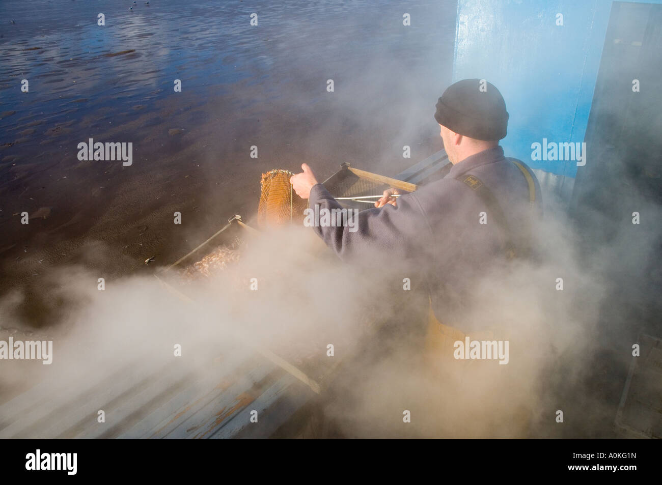 Commercial Seafood Shellfish Shrimp Fishing with modified tractor ...