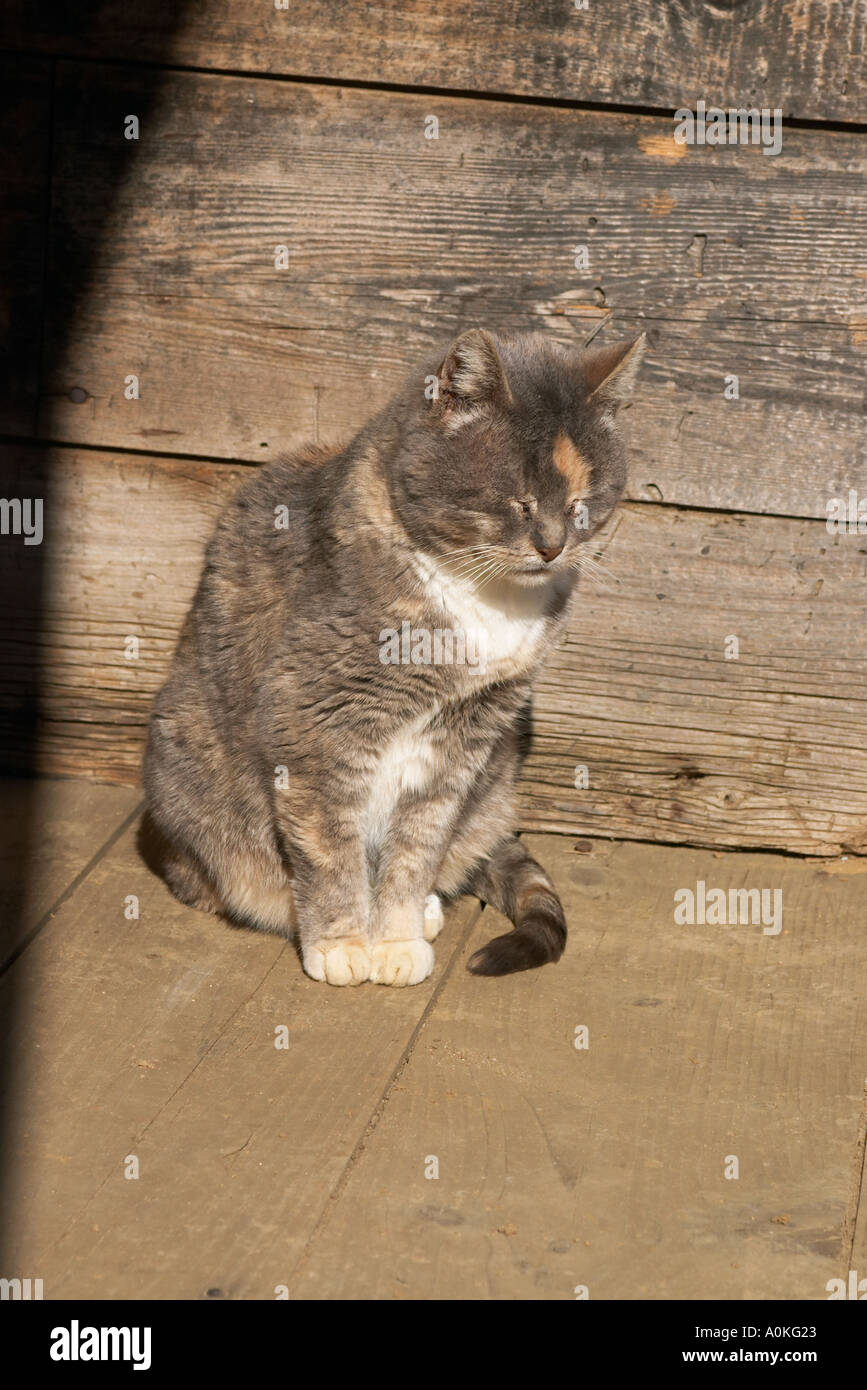 Rural gray hi-res stock photography and images - Alamy