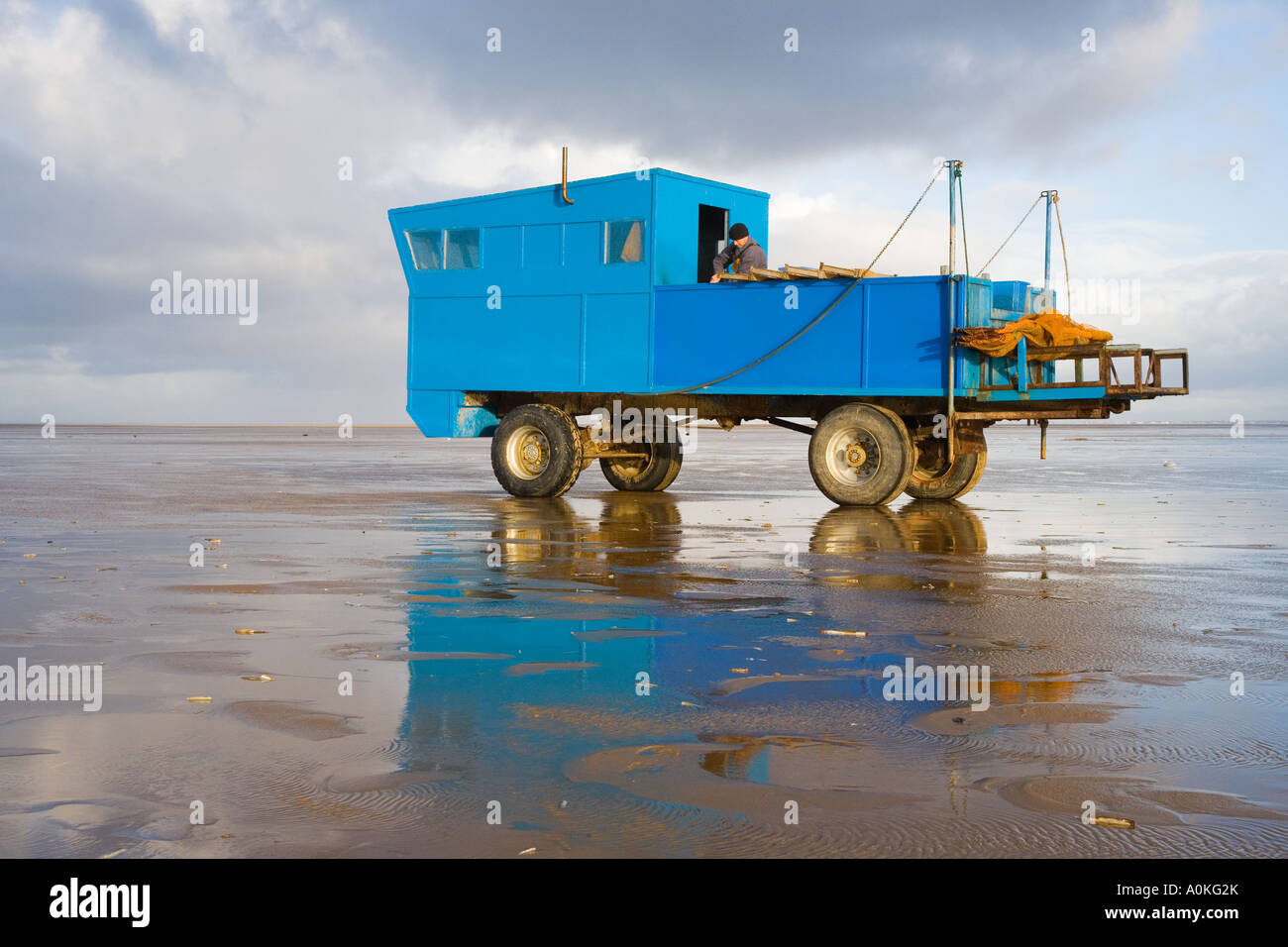 Commercial Seafood Shellfish Shrimp Fishing with modified tractor ...