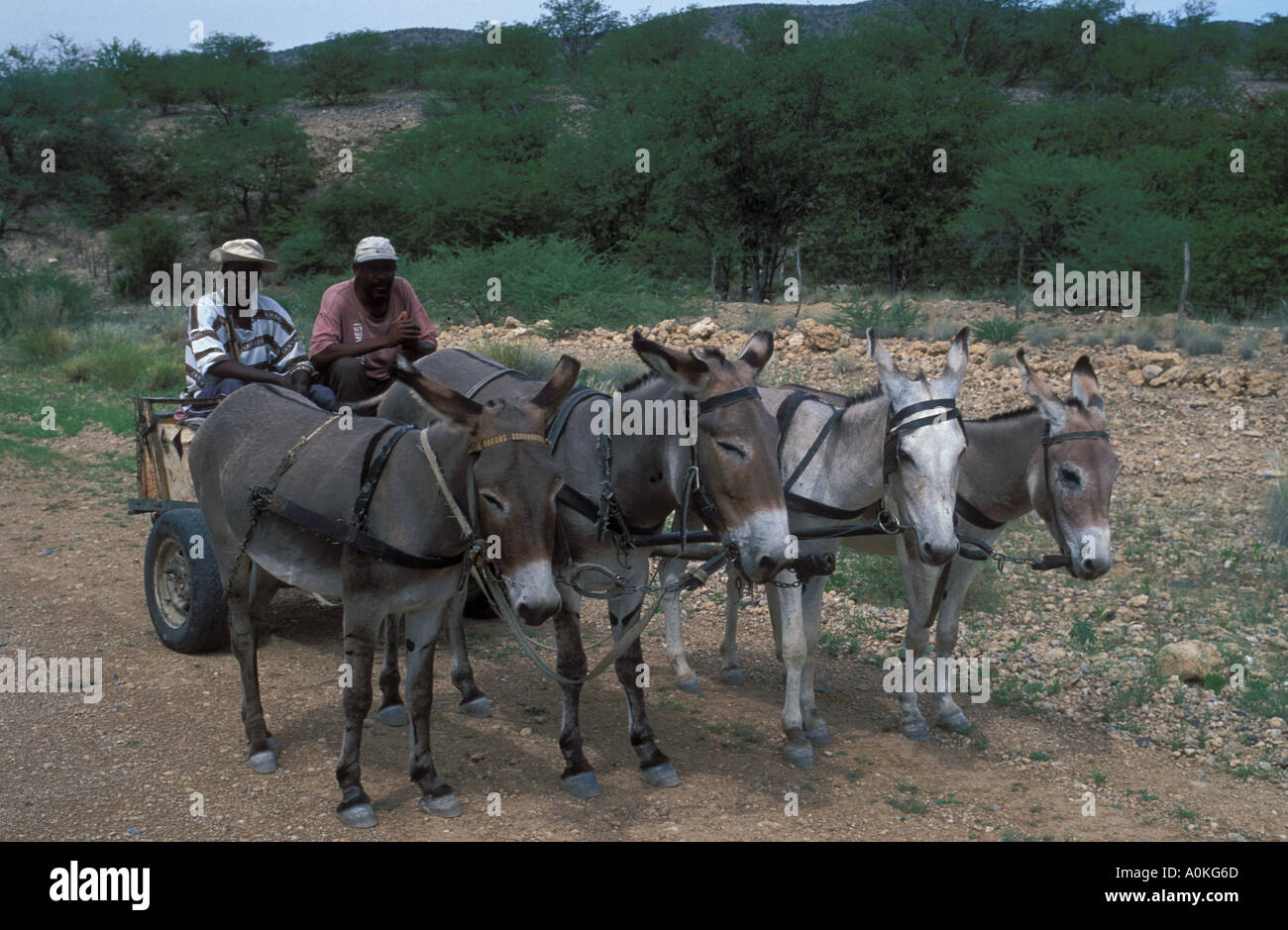 Donky cart hi-res stock photography and images - Alamy