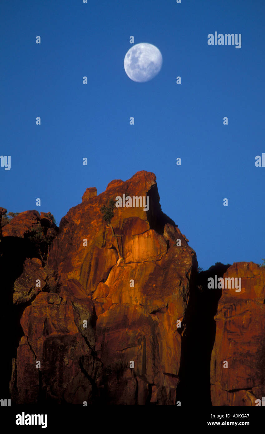 Moon rising over red rock cliffs of Waterberg Waterberg National Park ...