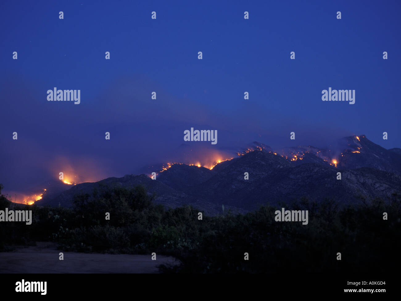 The June 2003 Aspen Fire in the Santa Catalina Mountains north of ...