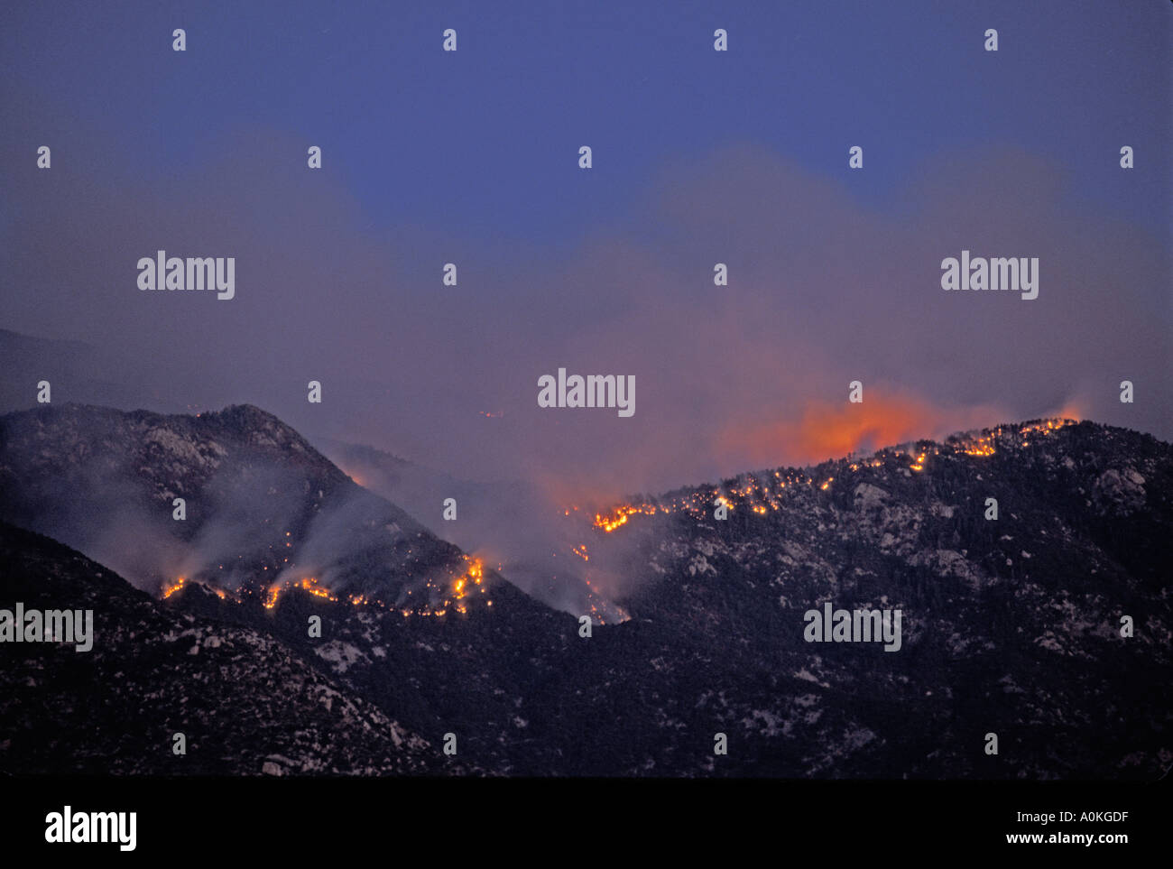 The June 2003 Aspen Fire in the Santa Catalina Mountains north of ...