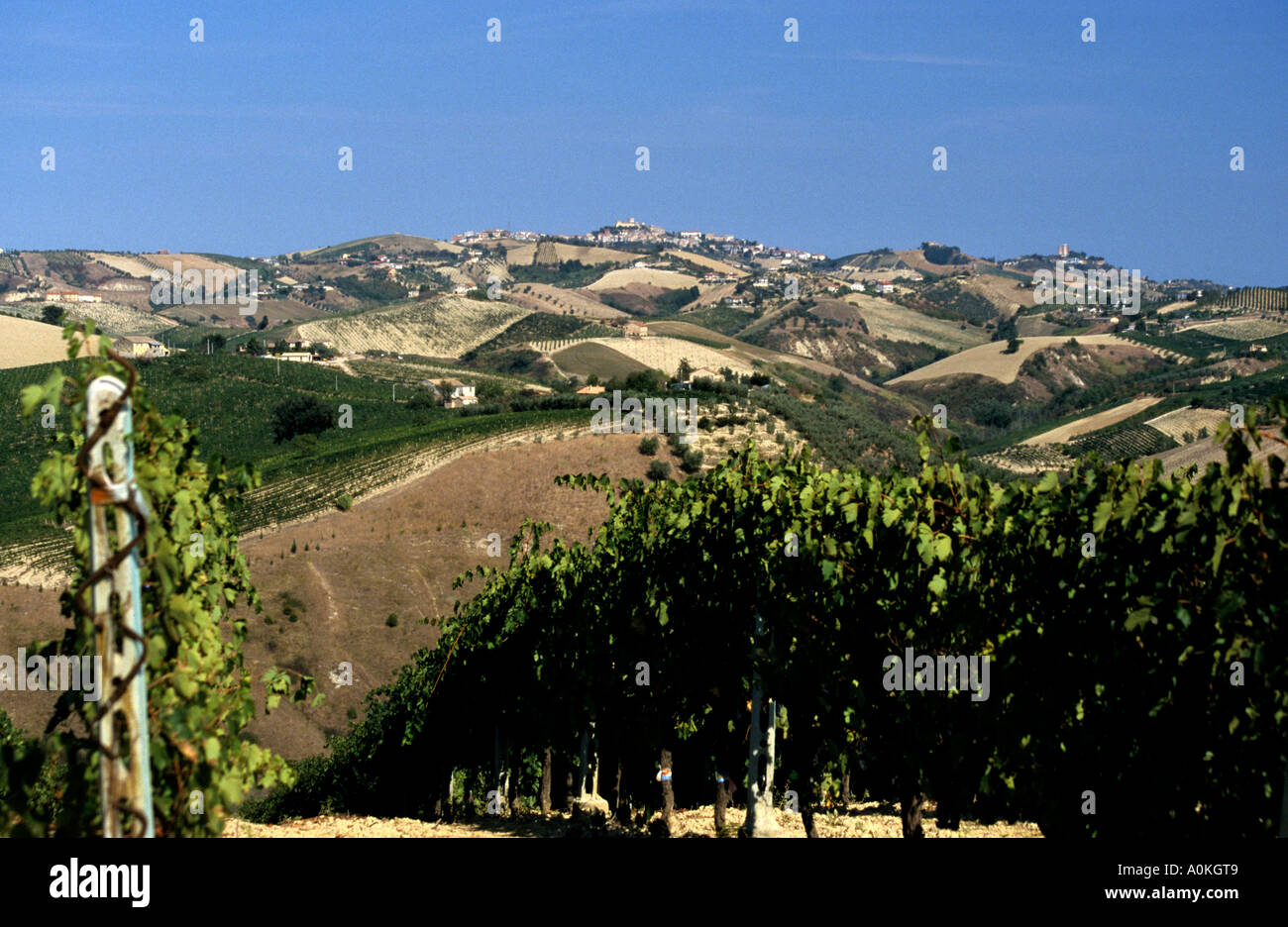 Norma joseph le marche hi-res stock photography and images - Alamy