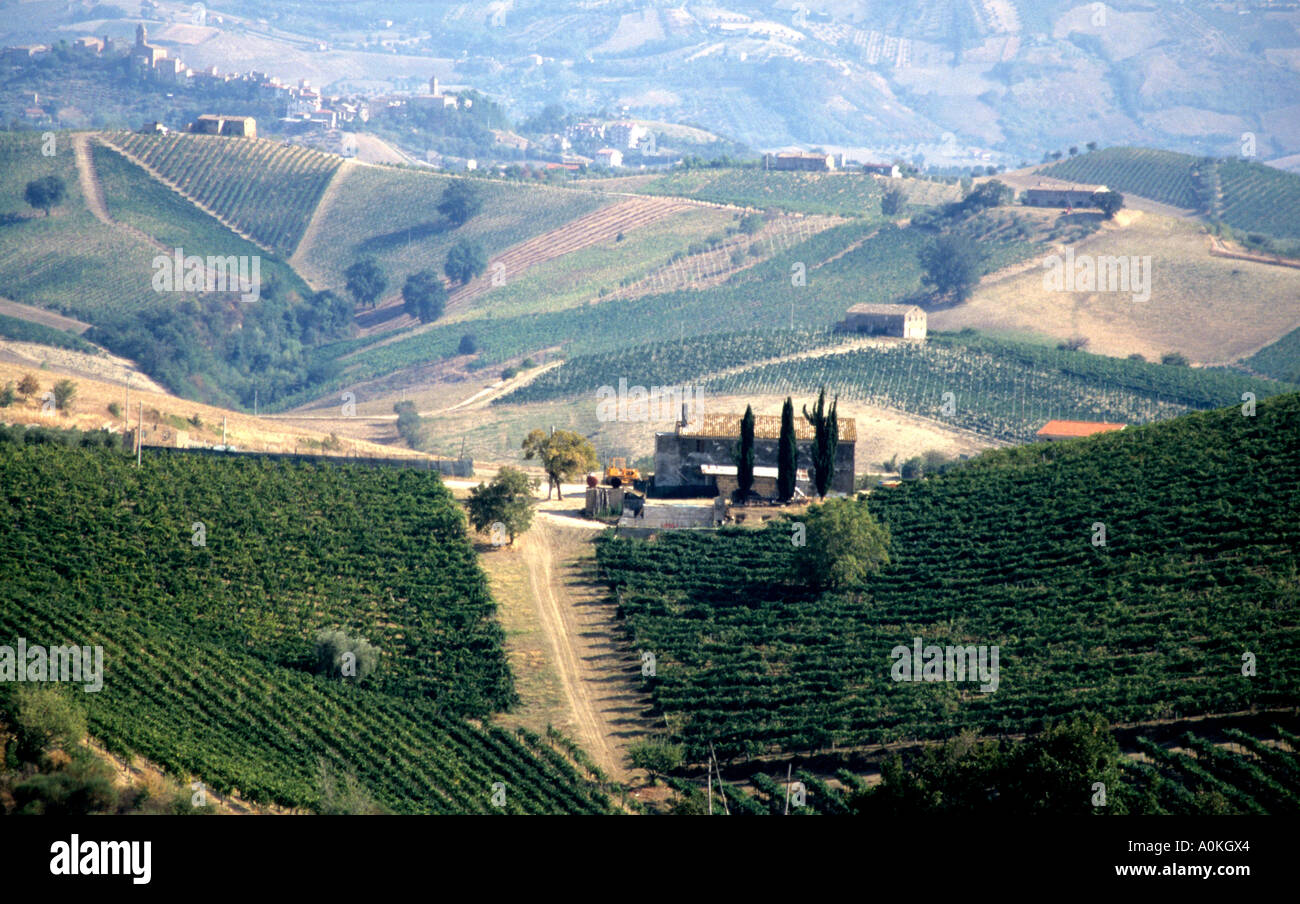 Le marche italy wine hi-res stock photography and images - Alamy