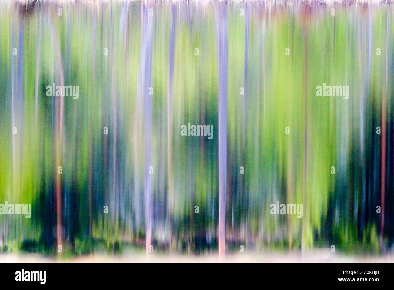 Reflected image in a glassy lake Stock Photo - Alamy