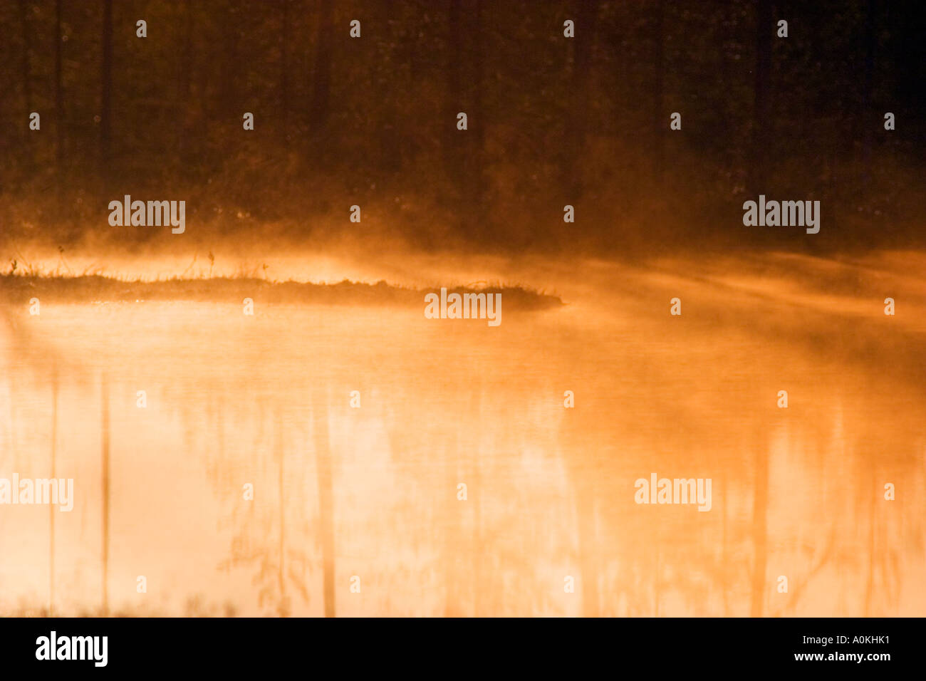 Morning fog at the lake Stock Photo - Alamy