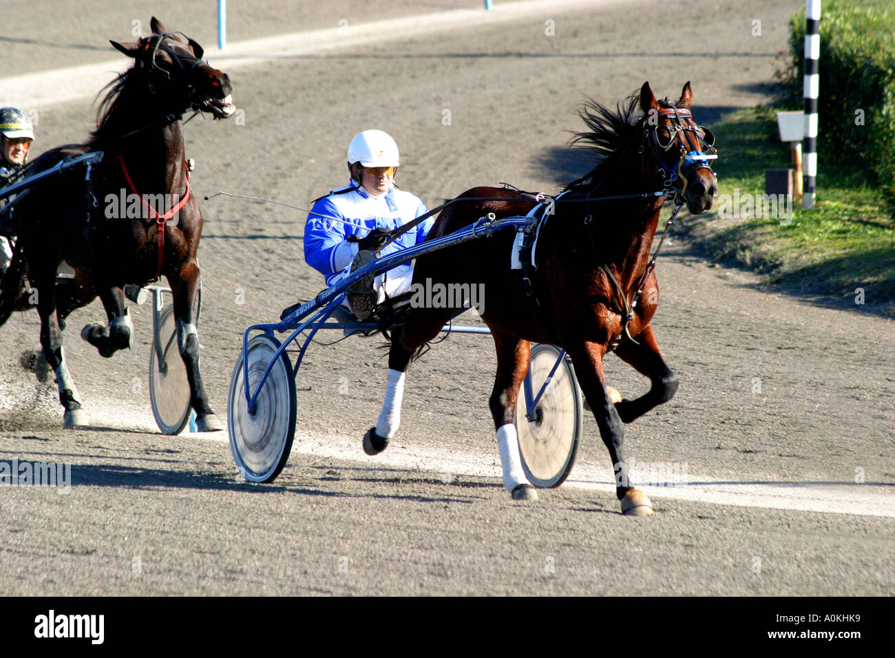 Trotting races hi-res stock photography and images - Alamy