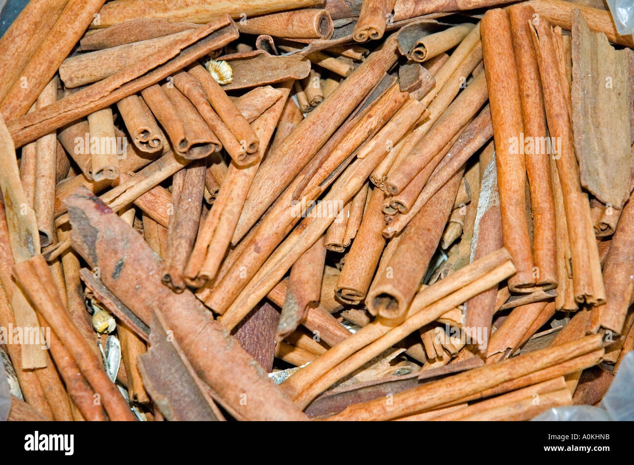 Bark of cinamon, cinnamon, Cinnamomum verum, spice, at the Egyptian ...