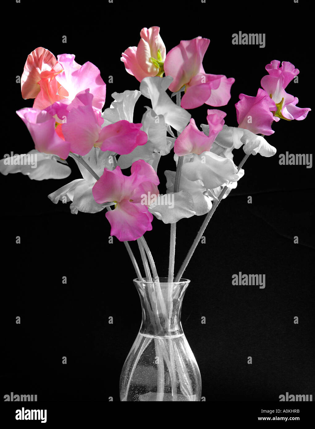 Bunch sweetpeas hi-res stock photography and images - Alamy