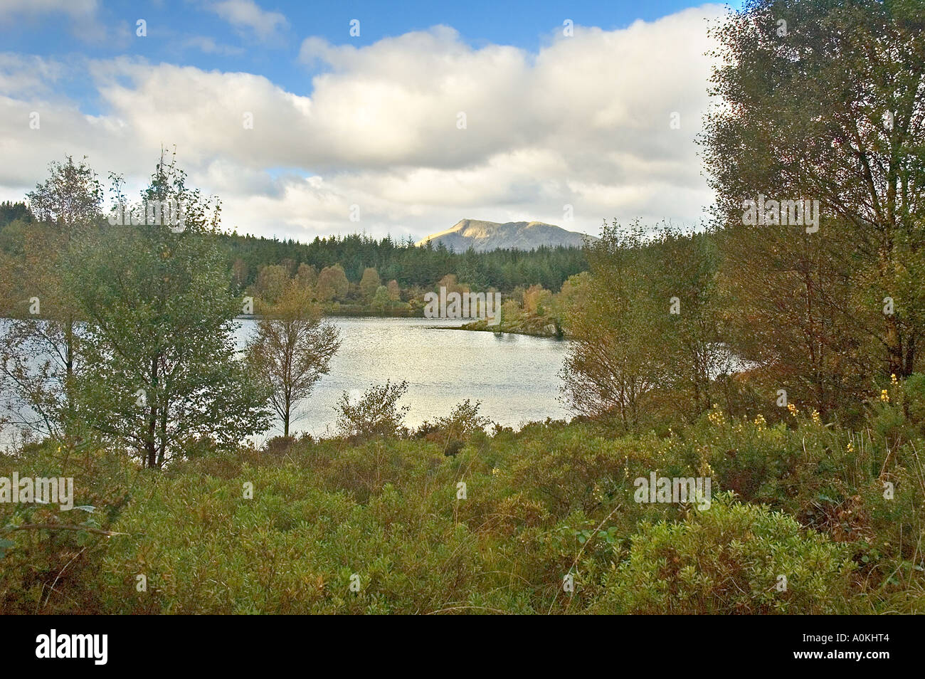 Elsi hi-res stock photography and images - Alamy