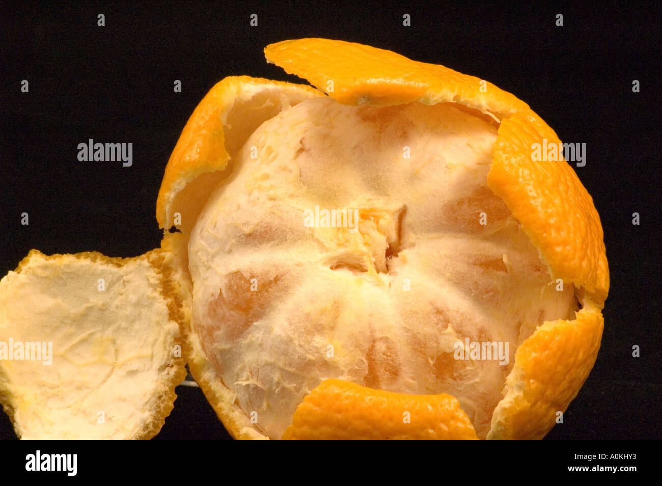 Black satsuma hi-res stock photography and images - Alamy