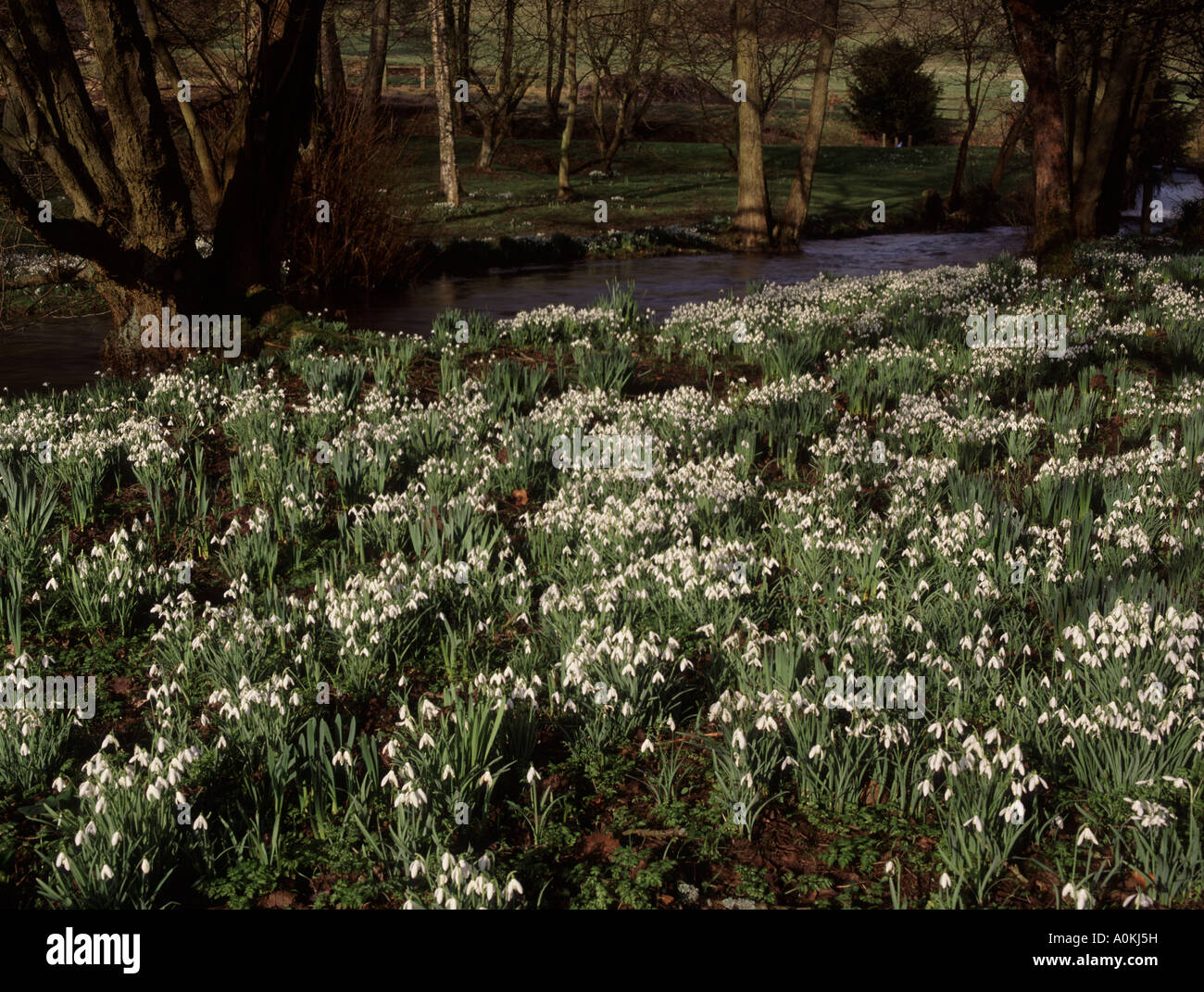 Rendcomb hi-res stock photography and images - Alamy