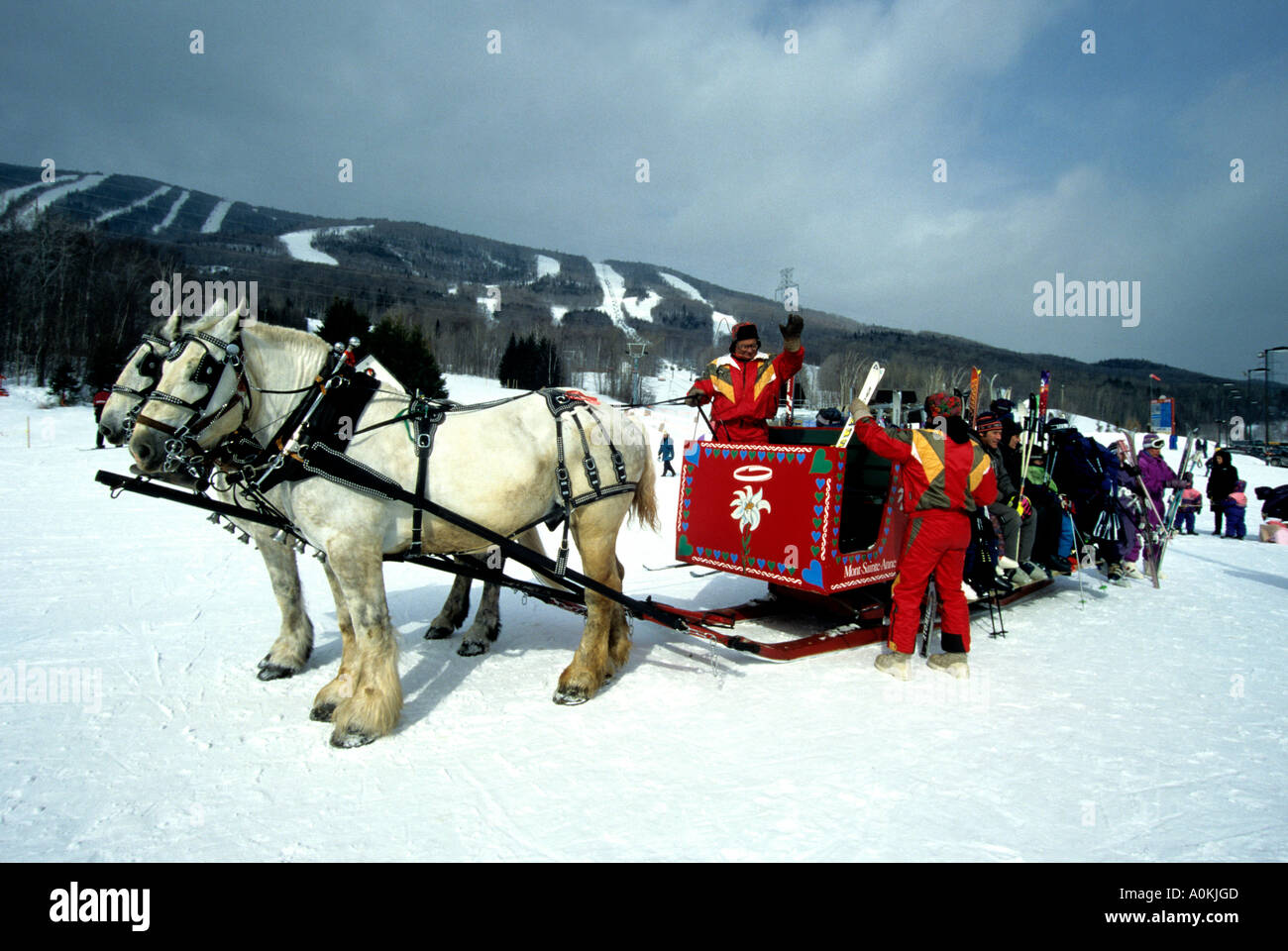 Horse drawn sledge hi-res stock photography and images - Alamy