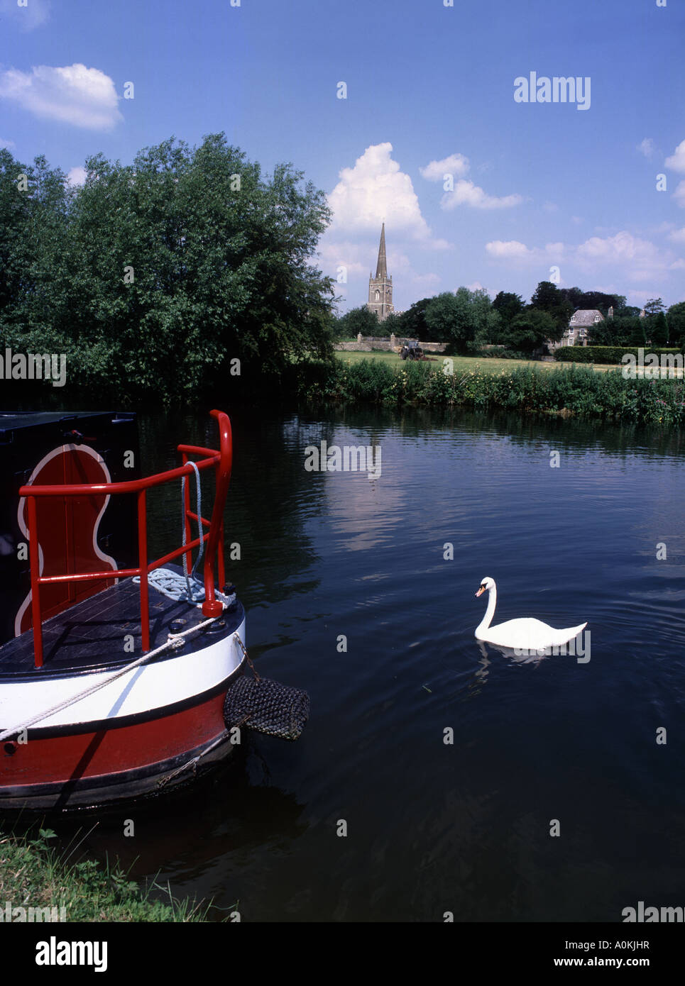 A swan on the upper River Thames at Lechlade with a canal boat and the ...