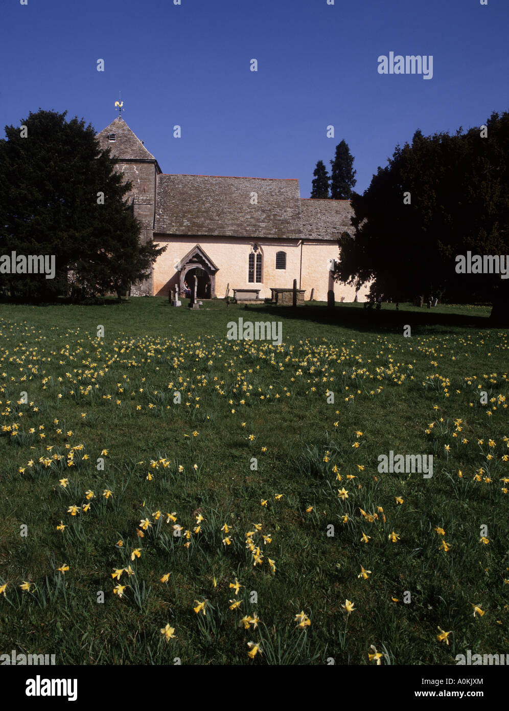 The tiny norman church of St Mary's at Kempley with notable wall ...