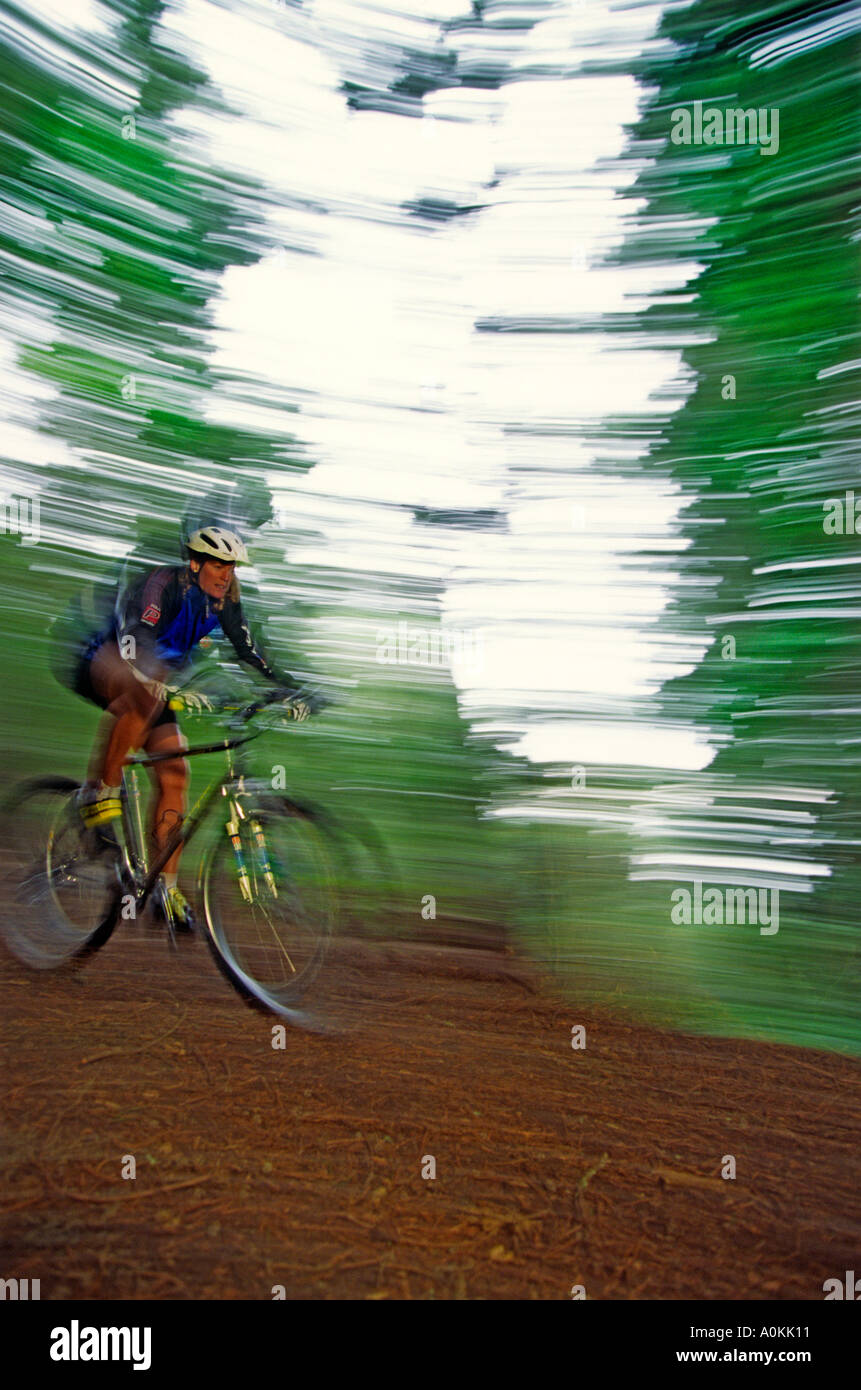 Model released female mountain biking in woods Stock Photo - Alamy
