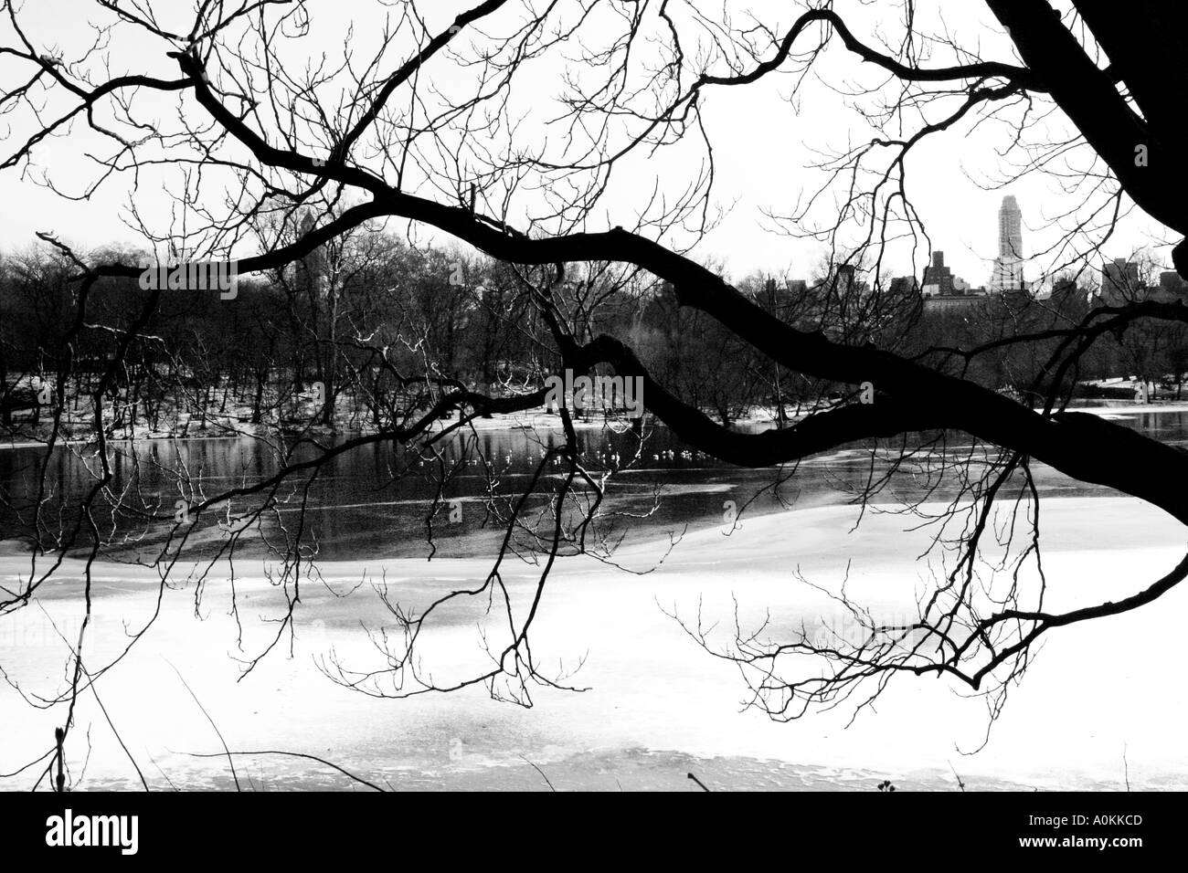 Frozen black lake in Black and White Stock Photos & Images - Alamy