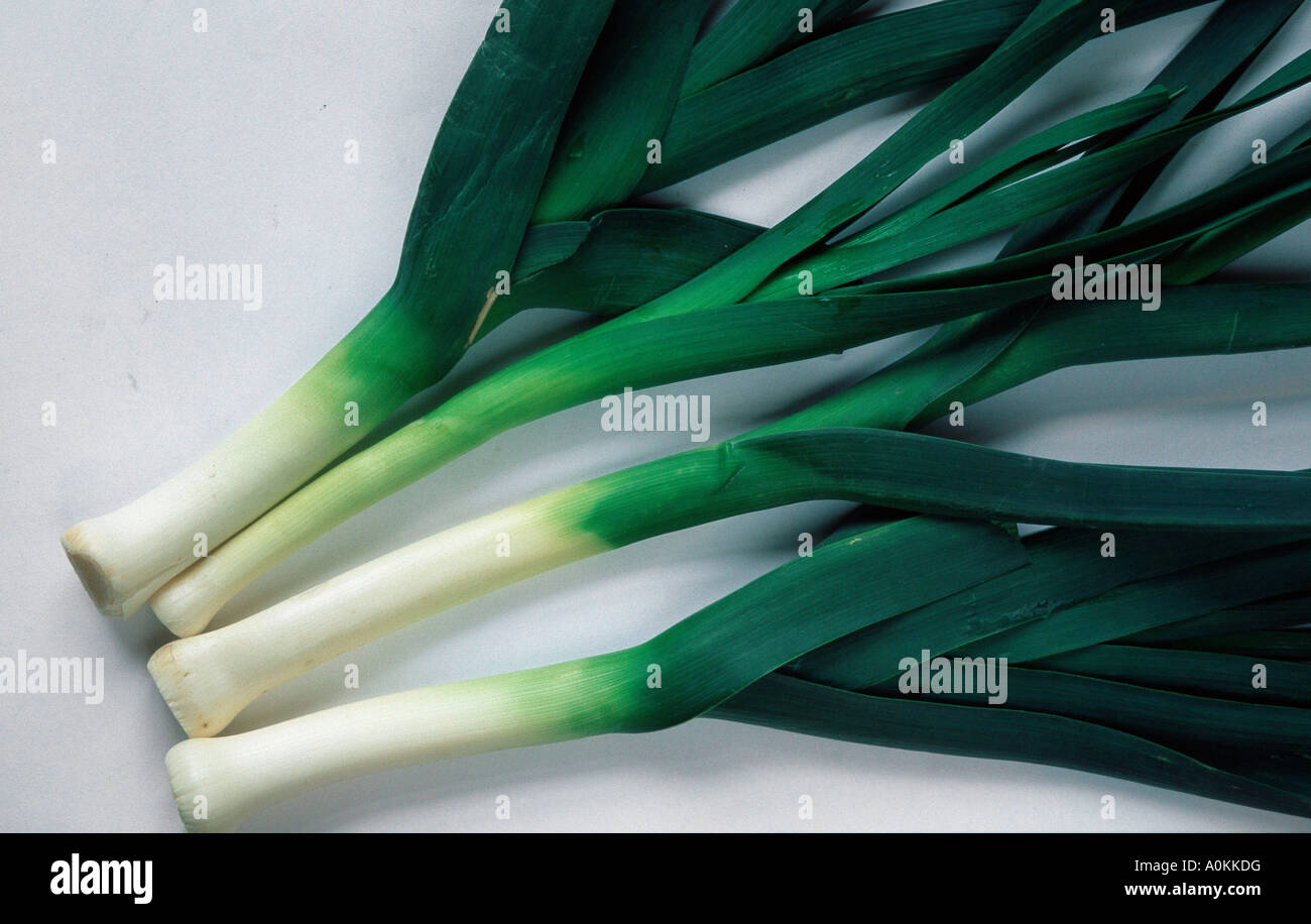 Leeks Allium porrum Stock Photo - Alamy