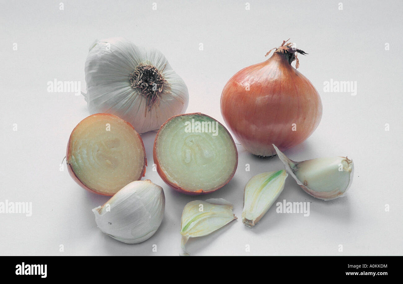 Garlic and Onion Allium sativum Allium cepa Stock Photo - Alamy