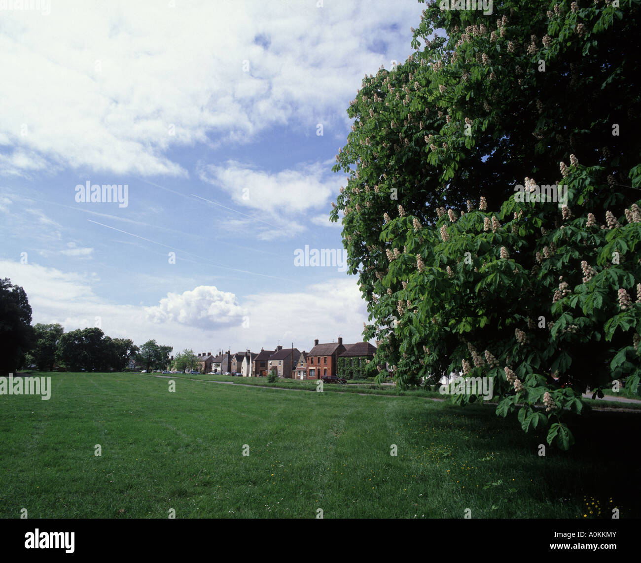The Largest village green in England, at Frampton on Severn Stock Photo ...