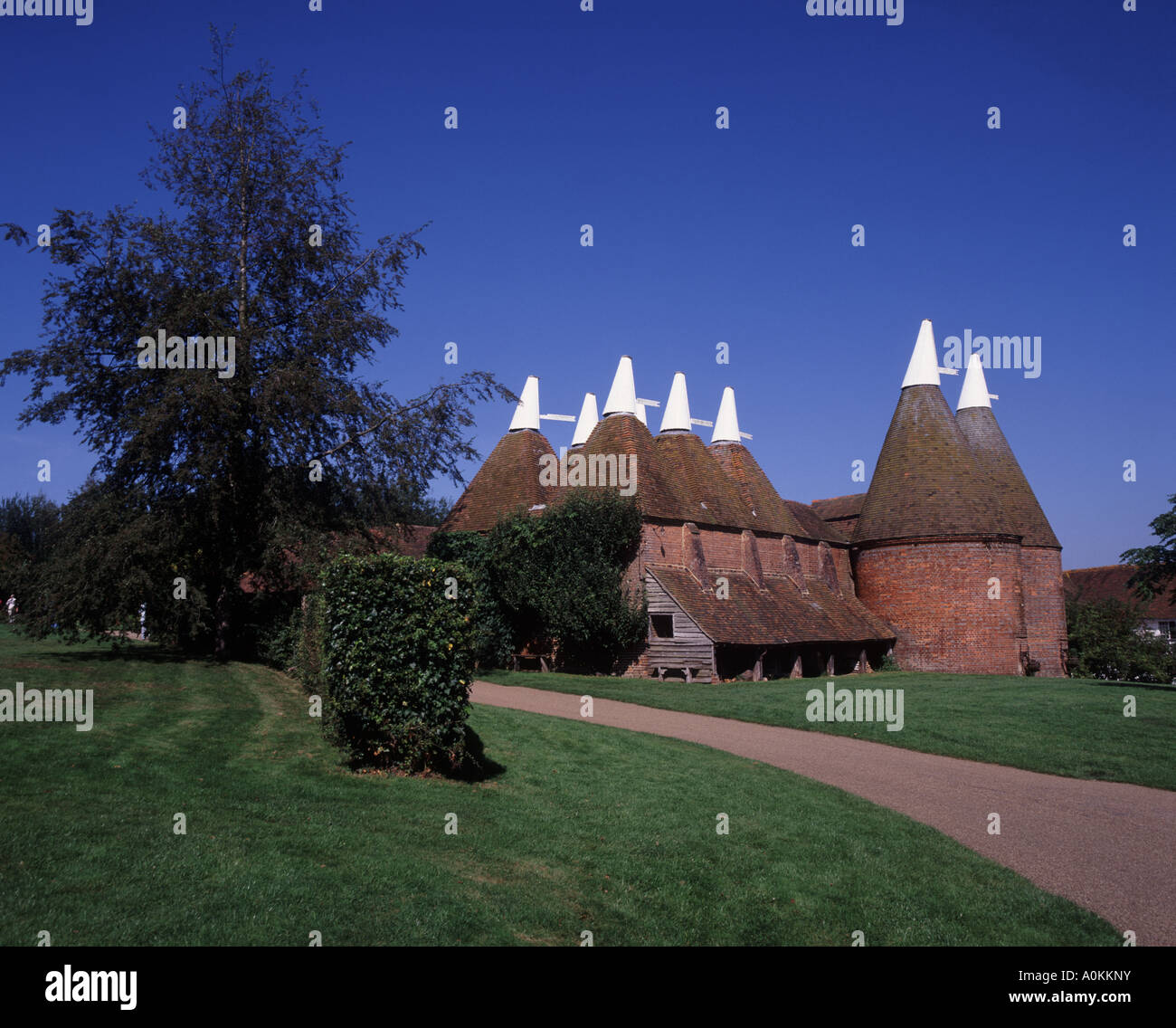 Drying hops hi-res stock photography and images - Alamy
