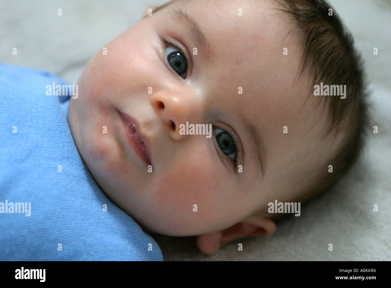 Six month baby boy hi-res stock photography and images - Alamy