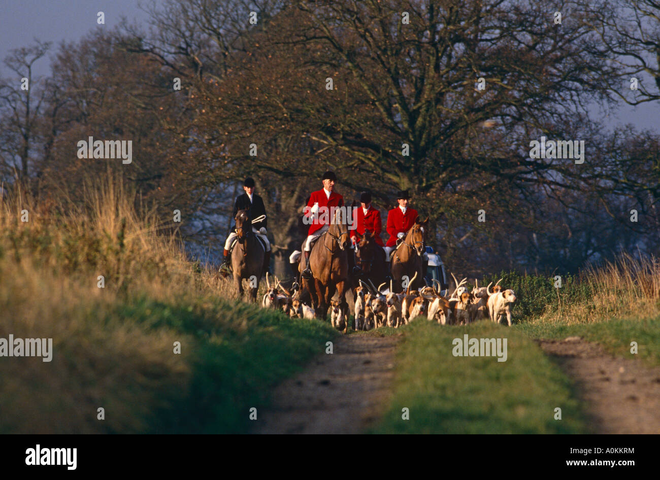 The quorn fox hunt hi-res stock photography and images - Alamy