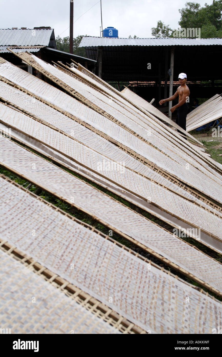 Rice Paper Production Vietnam High Resolution Stock Photography and ...