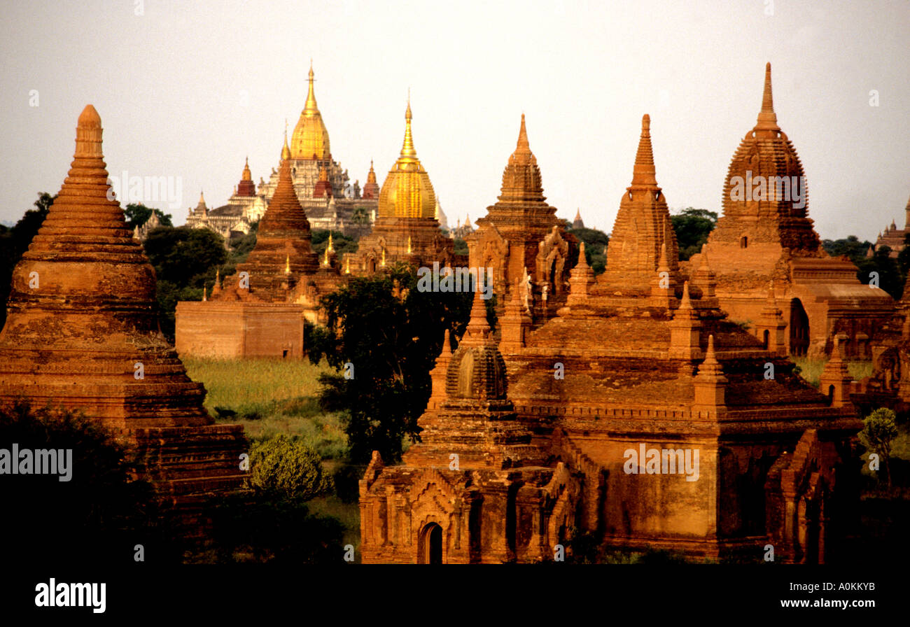 Evening light on the 11th century Buddhist temples of Bagan (Pagan ...