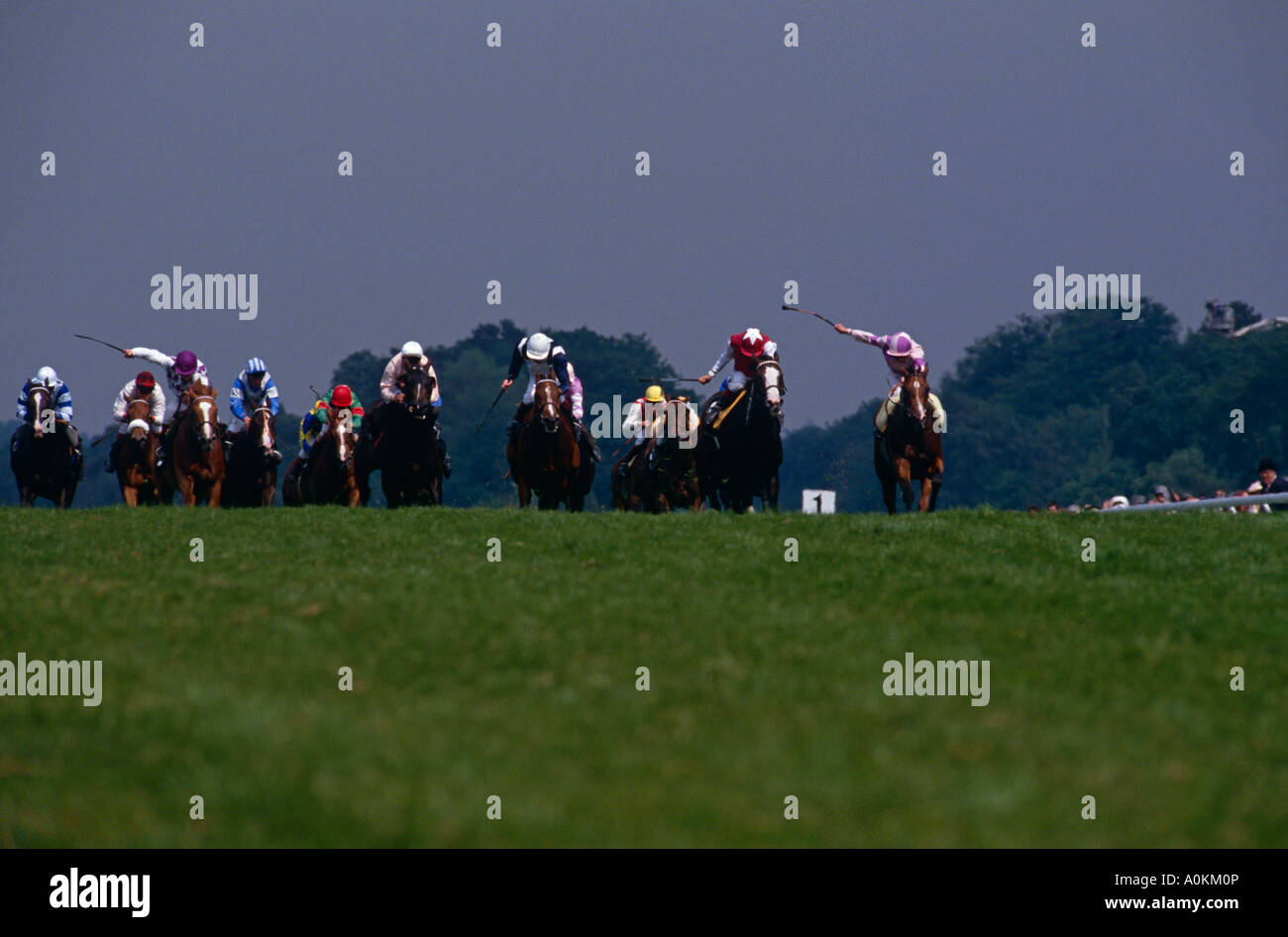 Epsom race course hi-res stock photography and images - Alamy