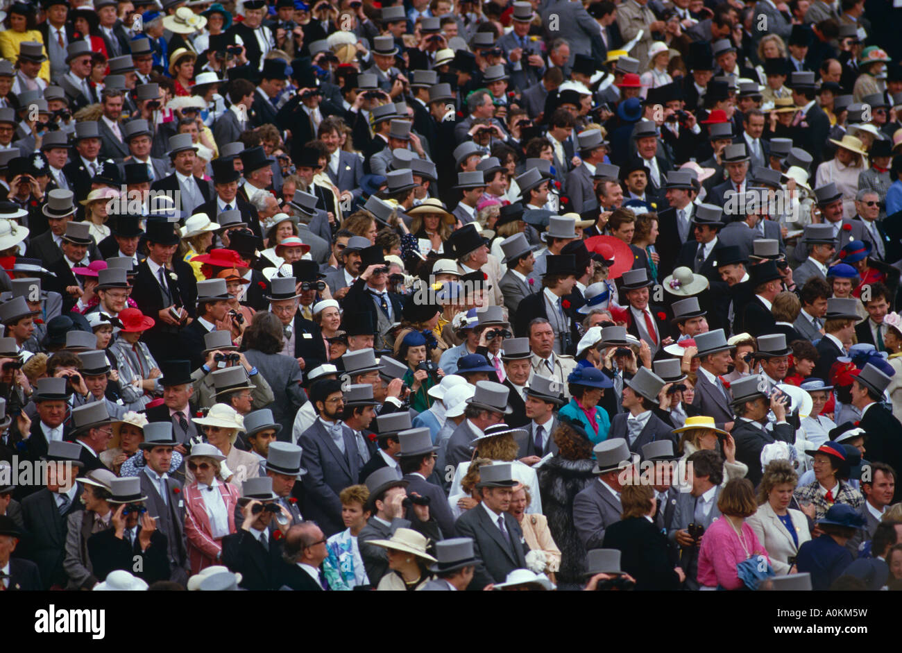 Horse racing crowd networking hi-res stock photography and images - Alamy