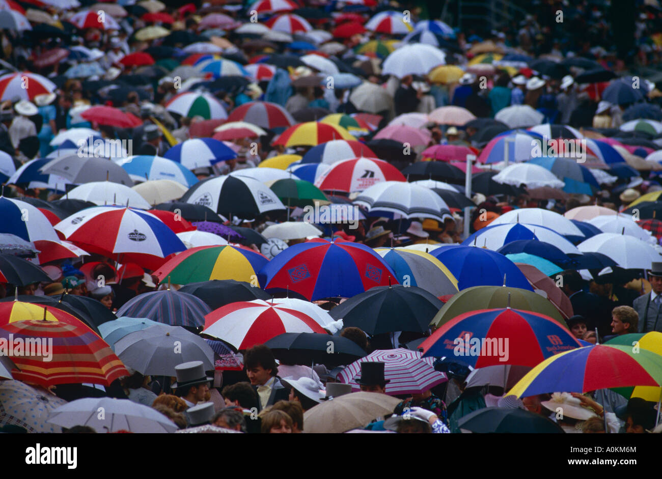 Crowd people watching ascot hi-res stock photography and images - Alamy