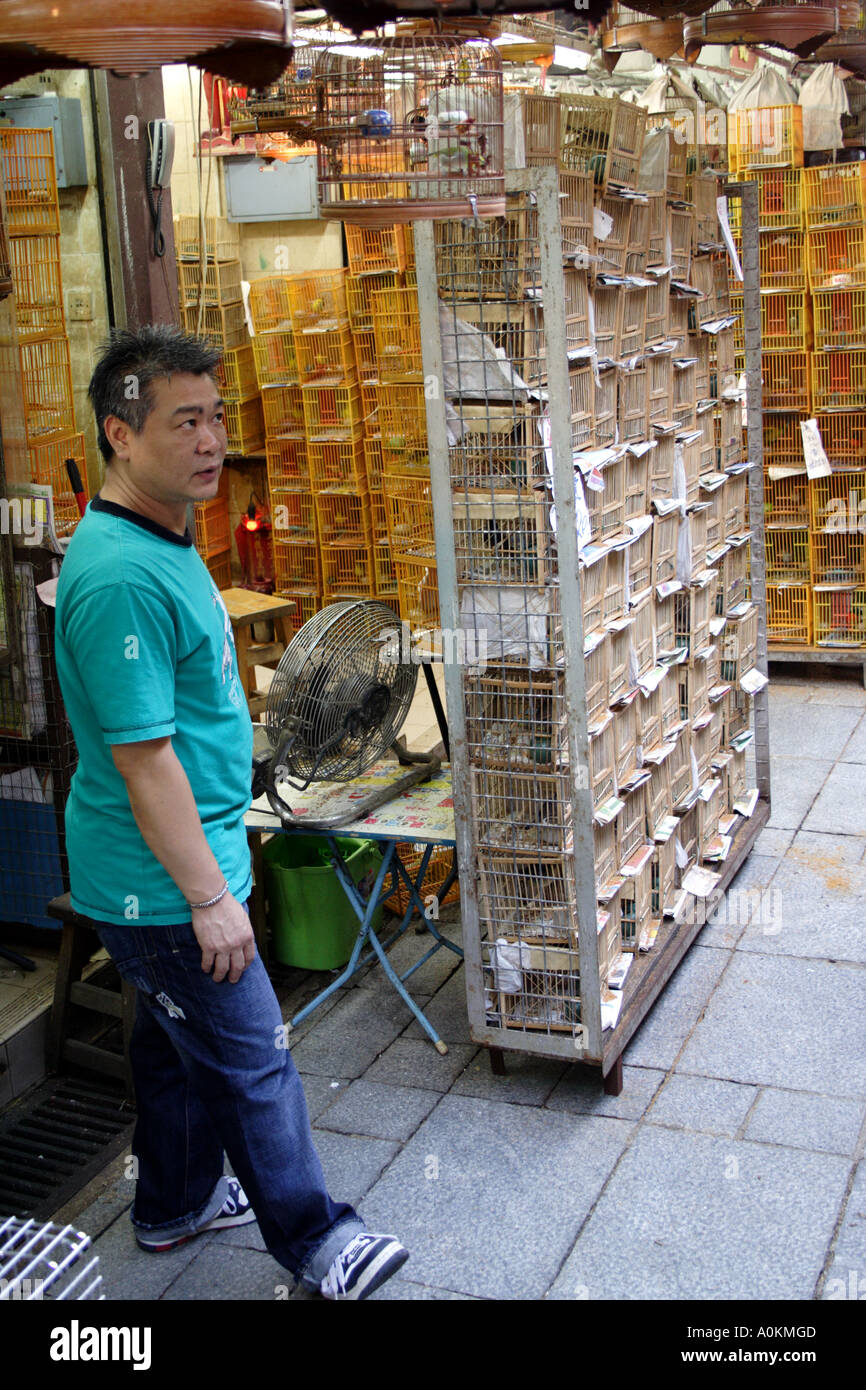 Yuen man hi-res stock photography and images - Alamy