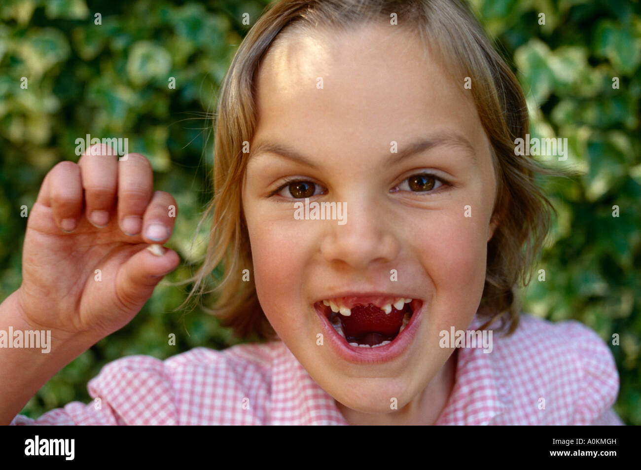 A seven 7 year old girl holds her tooth that has just come out Stock ...