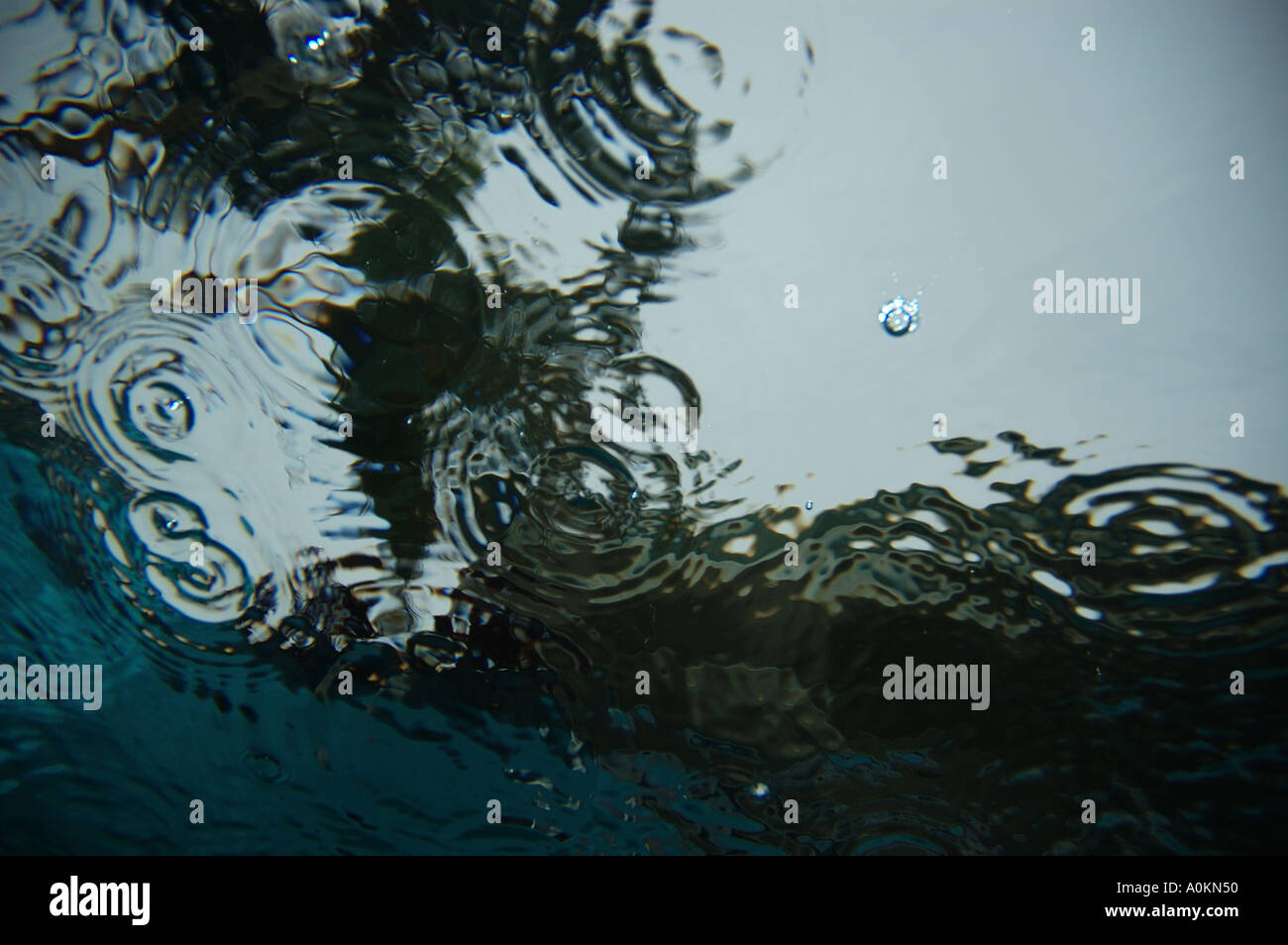 underwater looking up at the surface during a rain storm dsc 9846 Stock ...