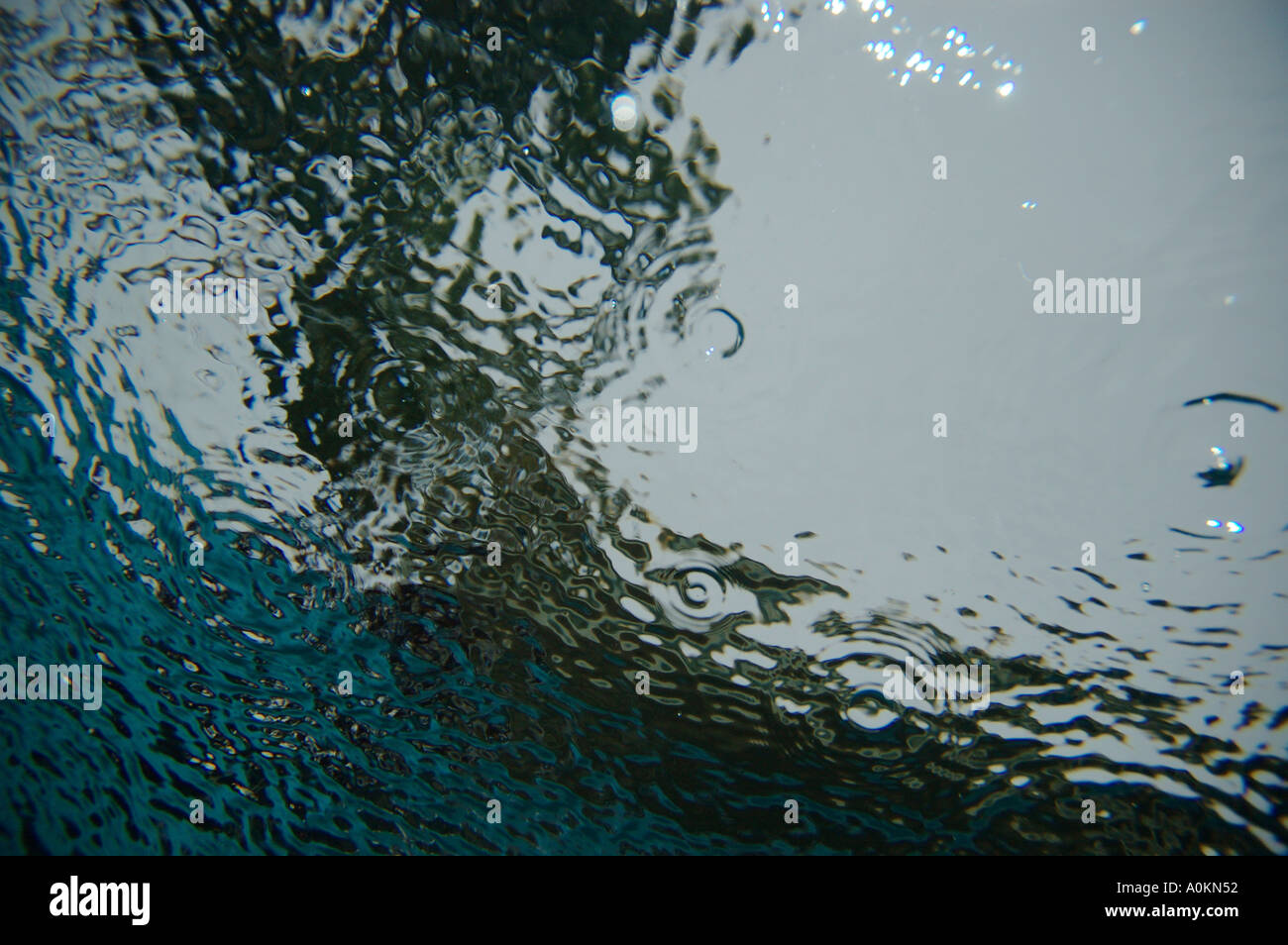 underwater looking up at the surface during a rain storm dsc 9847 Stock ...