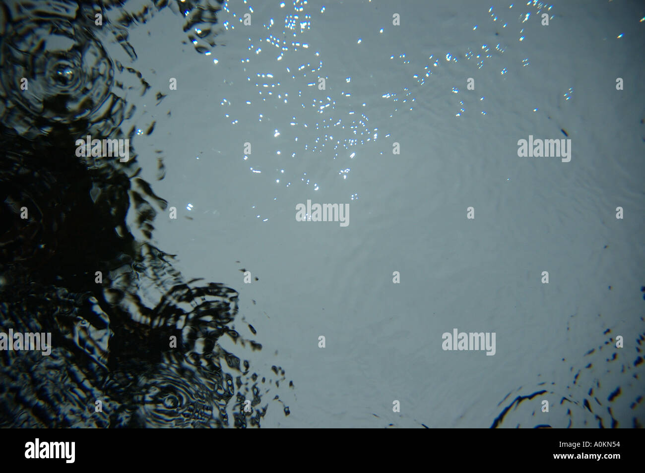 underwater looking up at the surface during a rain storm dsc 9848 Stock ...