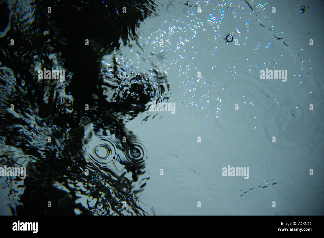 underwater looking up at the surface during a rain storm dsc 9850 Stock ...
