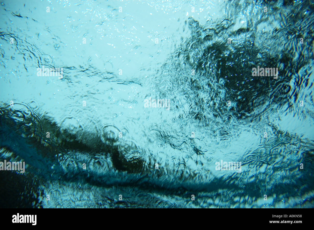 underwater looking up at the surface during a rain storm dsc 9851 Stock ...
