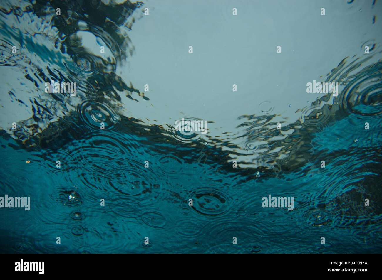 underwater looking up at the surface during a rain storm dsc 9855 Stock ...