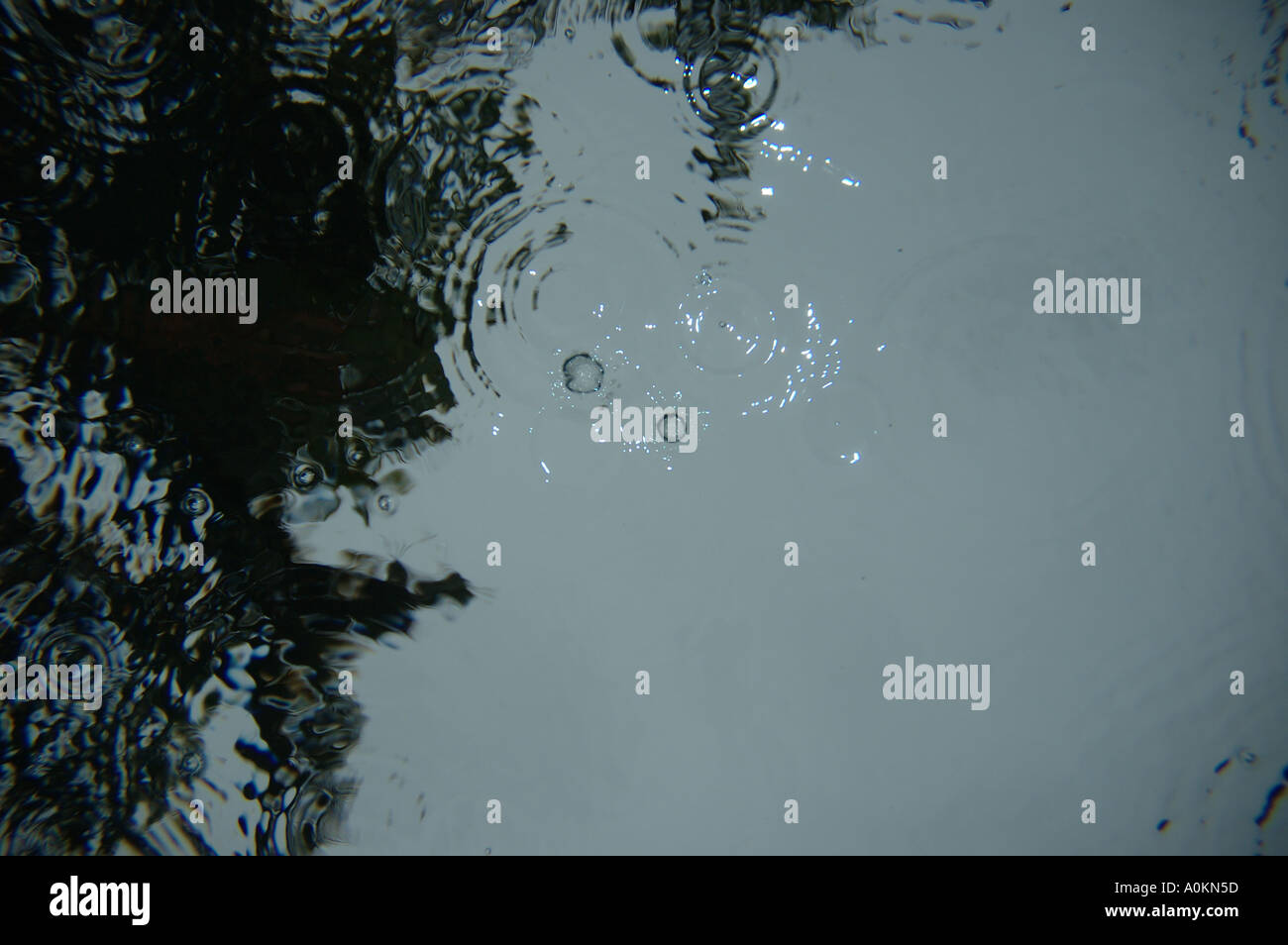 underwater looking up at the surface during a rain storm dsc 9858 Stock ...