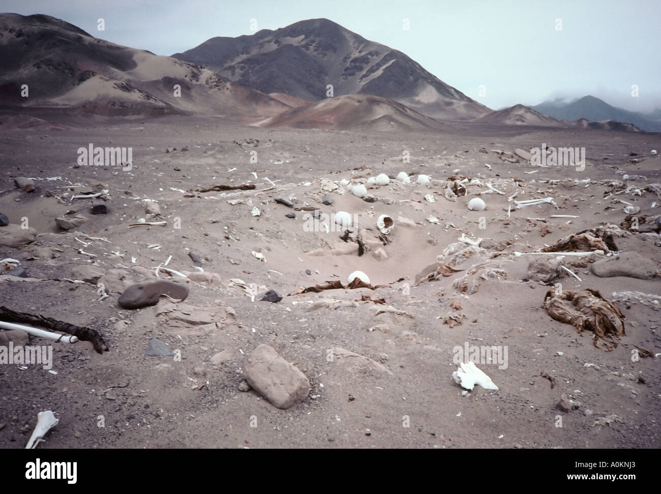 Remains of a Nazca culture burial ground destroyed by grave robbers at ...