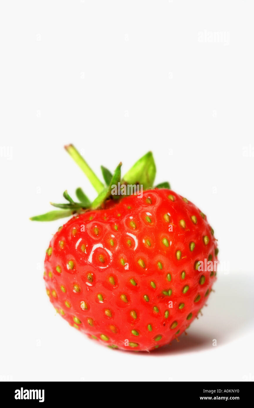 A single full frame bright red strawberry with green stalk set against ...